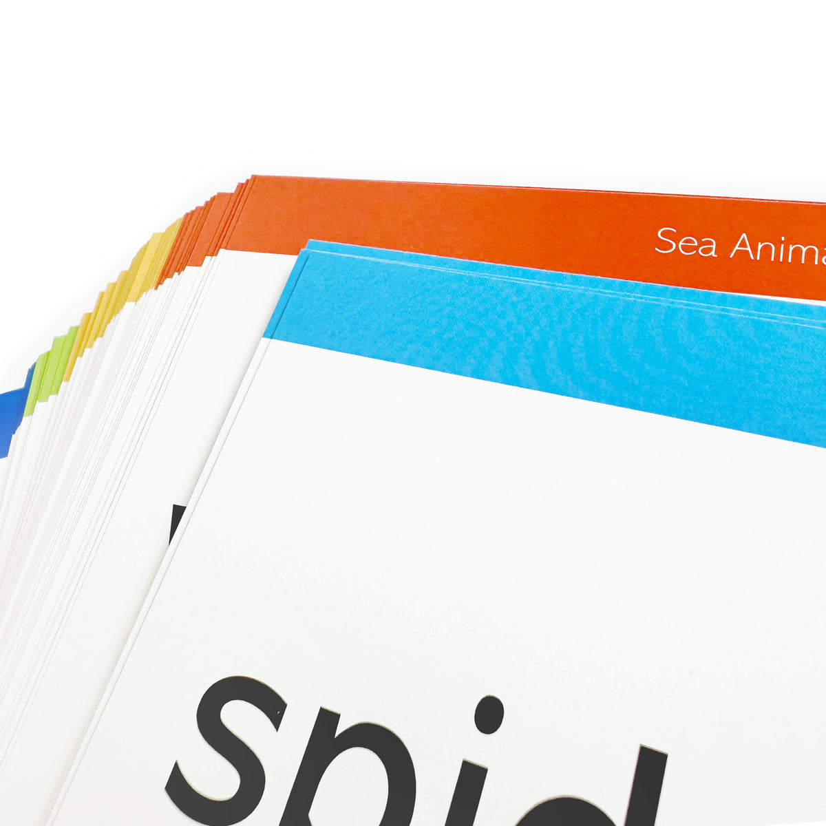 100 Learning English Animals Picture Cards – Pat's Flash Cards